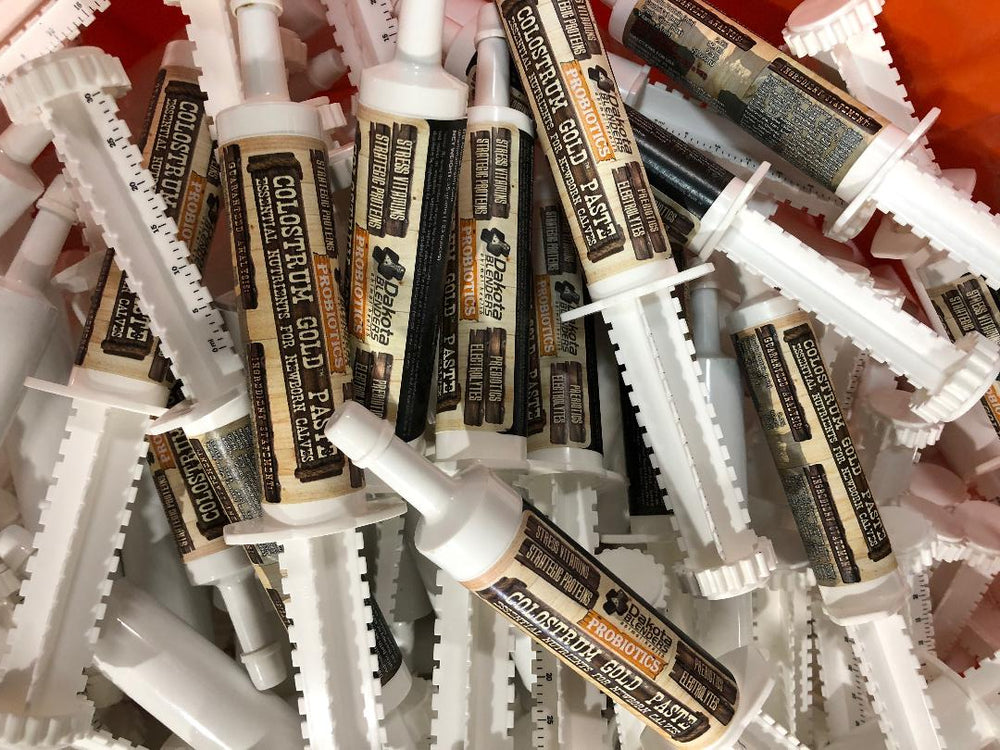 Colostrum Gold Paste - Dakota Blenders